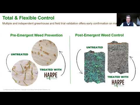 Harpe Bioherbicide: Natural and Sustainable Herbicide Solutions