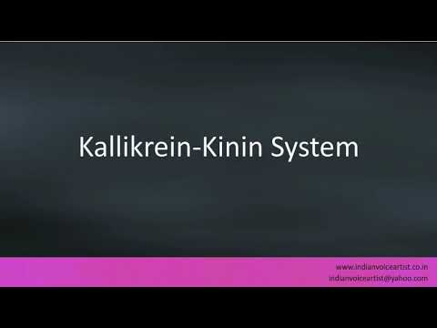 Pronunciation of the word(s) "Kallikrein-Kinin System".