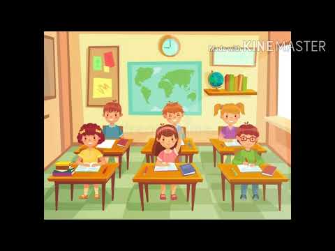 2nd Chapter- What is in the Lunch- Box?