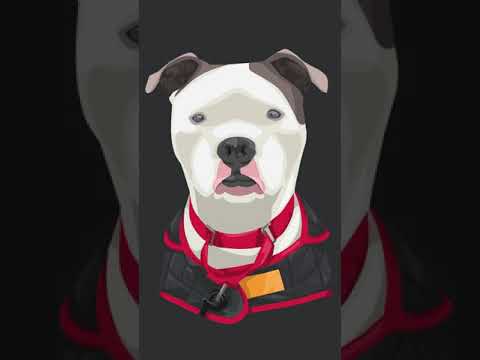 Dog vector art | Vector portrait | Vector illustration | Adobe Illustrator | [Short]