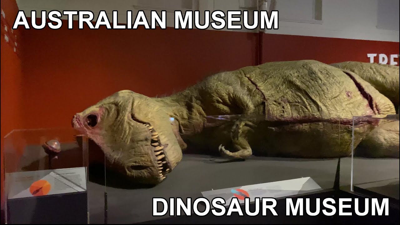 Australian Museum - Dinosaur Museum - 4K Video