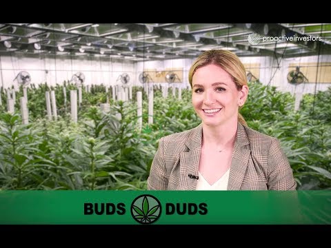 Buds & Duds: Cannabis stocks roll up Wednesday, with freshly-named Mojave Jane shares on the rise
