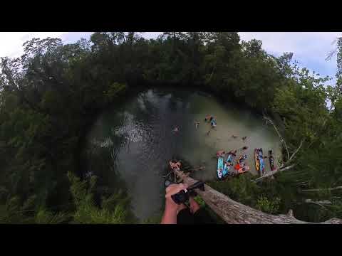 Tree-Jumping Free-Fall Splash: Weeki Wachee River Adventures Await!