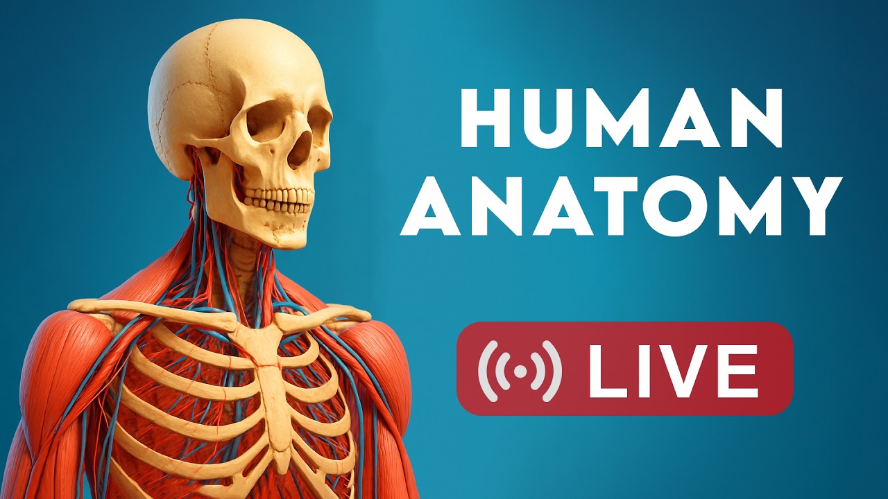 🔴 Inside Us Live: Human Anatomy & Organ Systems
