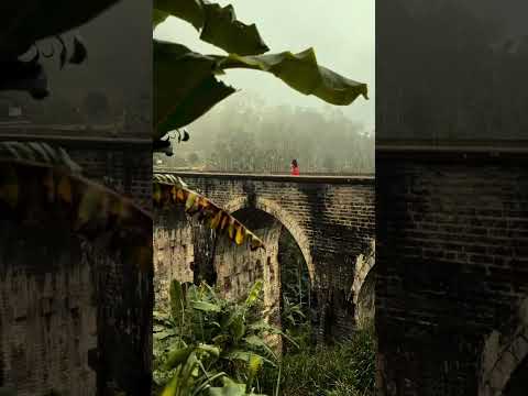 Sri Lanka Scenic Travel Journey
