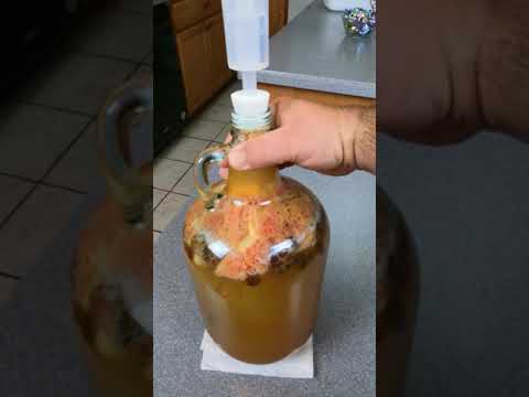 How To Prevent Your Mead From Exploding Onto Your Ceiling - Push Down The Fruit Cap