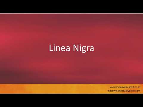 Pronunciation of the word(s) "Linea Nigra".