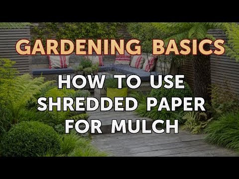 How to Use Shredded Paper for Mulch