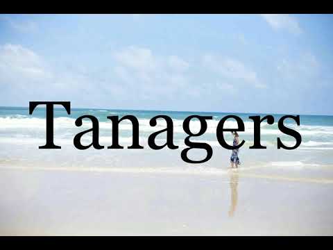 How To Pronounce Tanagers🌈🌈🌈🌈🌈🌈Pronunciation Of Tanagers