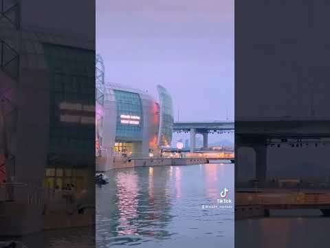 SEBITSEOM l The World’s First Floating Islands in Seoul l #shorts