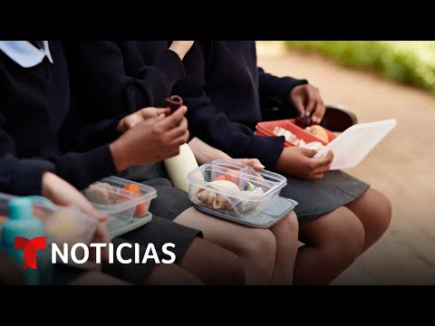 Verbena Cimarrona: beneficios, usos y sus propiedades