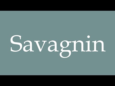 How to Pronounce ''Savagnin'' Correctly in French