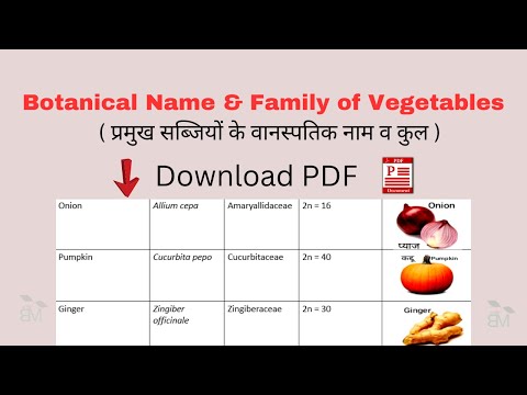 Botanical name & family of vegetables with chromosome numbers | рдлреНрд░реА PDF