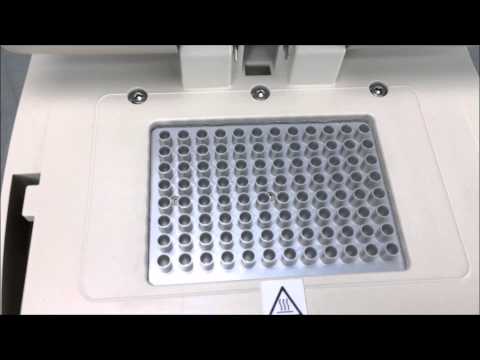 BioRad MyCycler PCR System The Lab World Group
