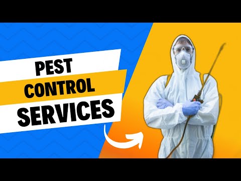 The Rising Costs of Pest Control: Trends for 2024 | CRUSH T20