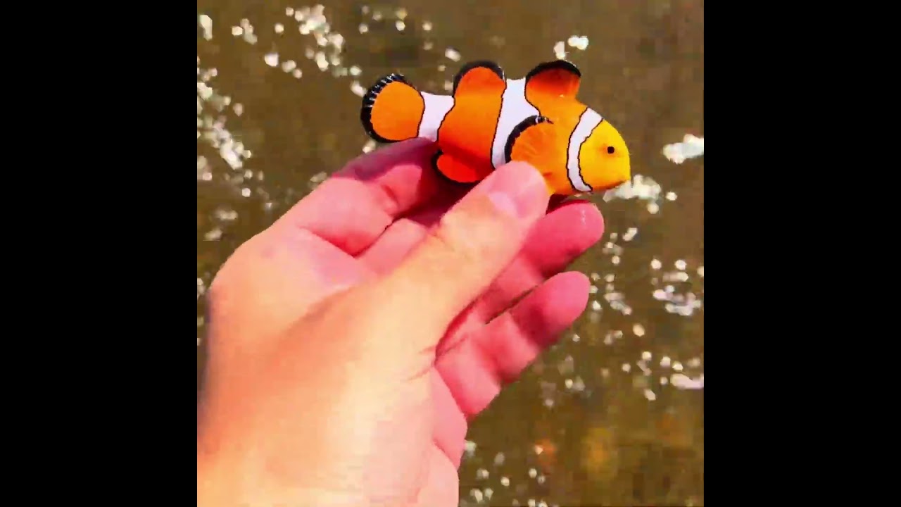 Clownfish Toy Shore Discovery – Off To The Tub!