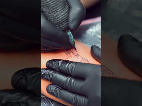 HUMMINGBIRD TATTOO 🤩