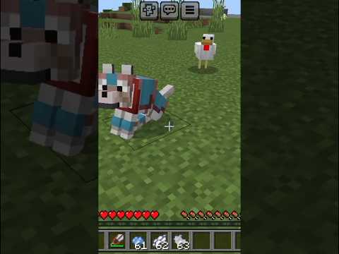 How To Dye Wolf Armor In Minecraft #shorts #minecraft