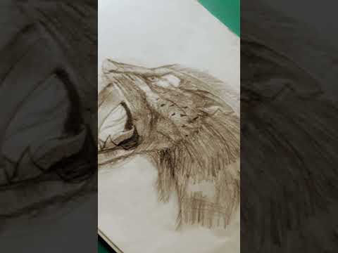 ancient saber tooth tiger