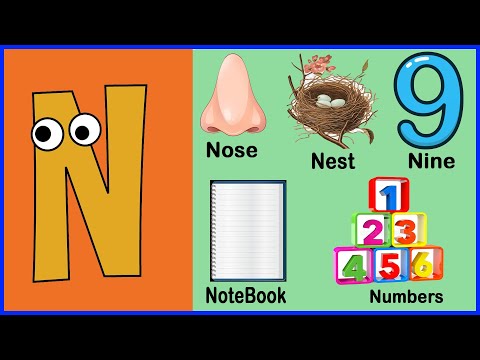 5 Words from Letter N | N for Nest | A to Z Reading | 5 Words from A to Z