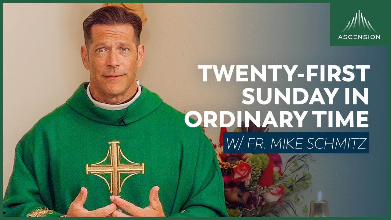 Twelfth Sunday in Ordinary Time – Mass with Fr. Mike Schmitz – Catholic ...