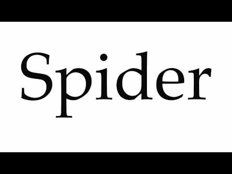 How to Pronounce Spider