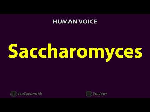 How to Pronounce Saccharomyces