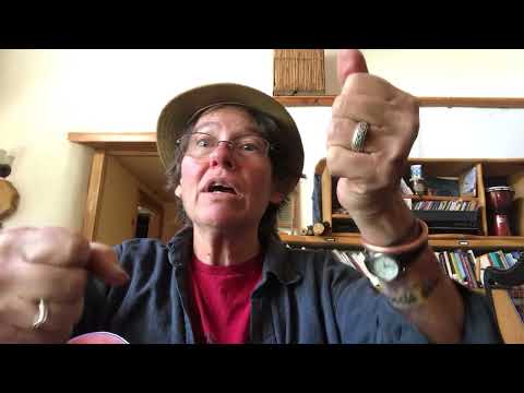 The Monkey Song