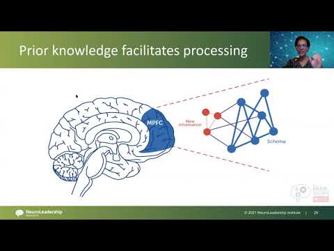 How coherence helps our brains process new information (Your Brain At Work LIVE Clip)
