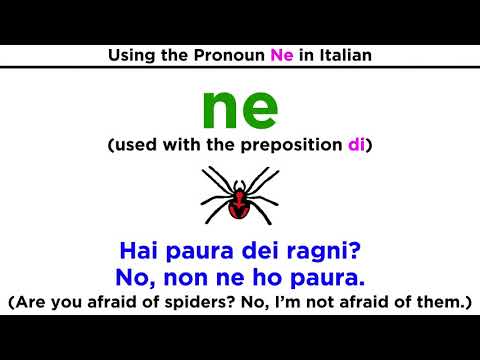 The Pronoun Ne in Italian