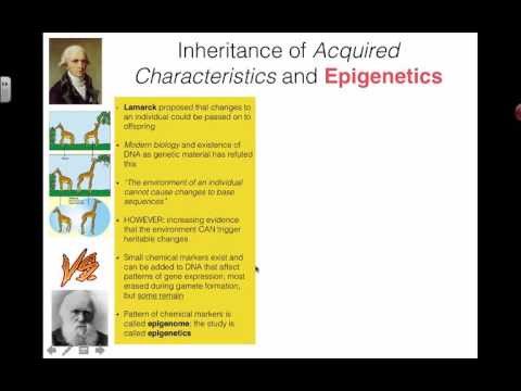 Inheritance of Acquired Characteristics (2016) IB Biology