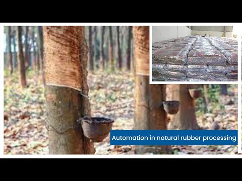 ISNR Rubber Block - Natural Rubber ISNR Latest Price, Manufacturers ...