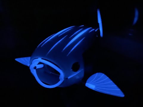 Award-winning — plastic-eating robo-fish is finally here to rid our ...