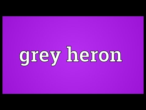 Grey heron Meaning