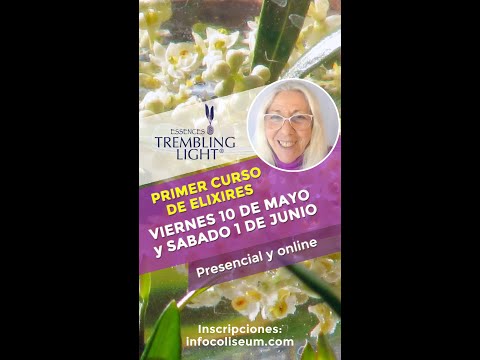 Curso completo Elixires Trembling Light por primera vez!!! | Trembling ...