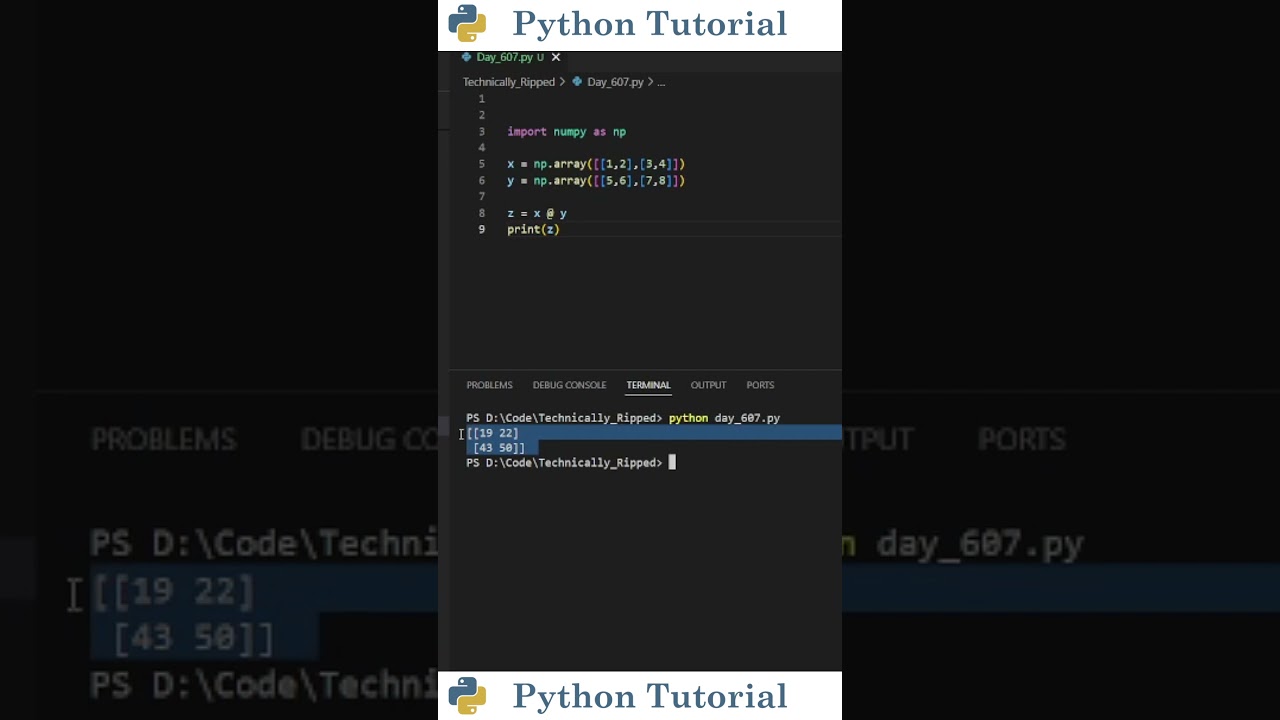 Matrix Multiplication With Numpy | Python Tutorial
