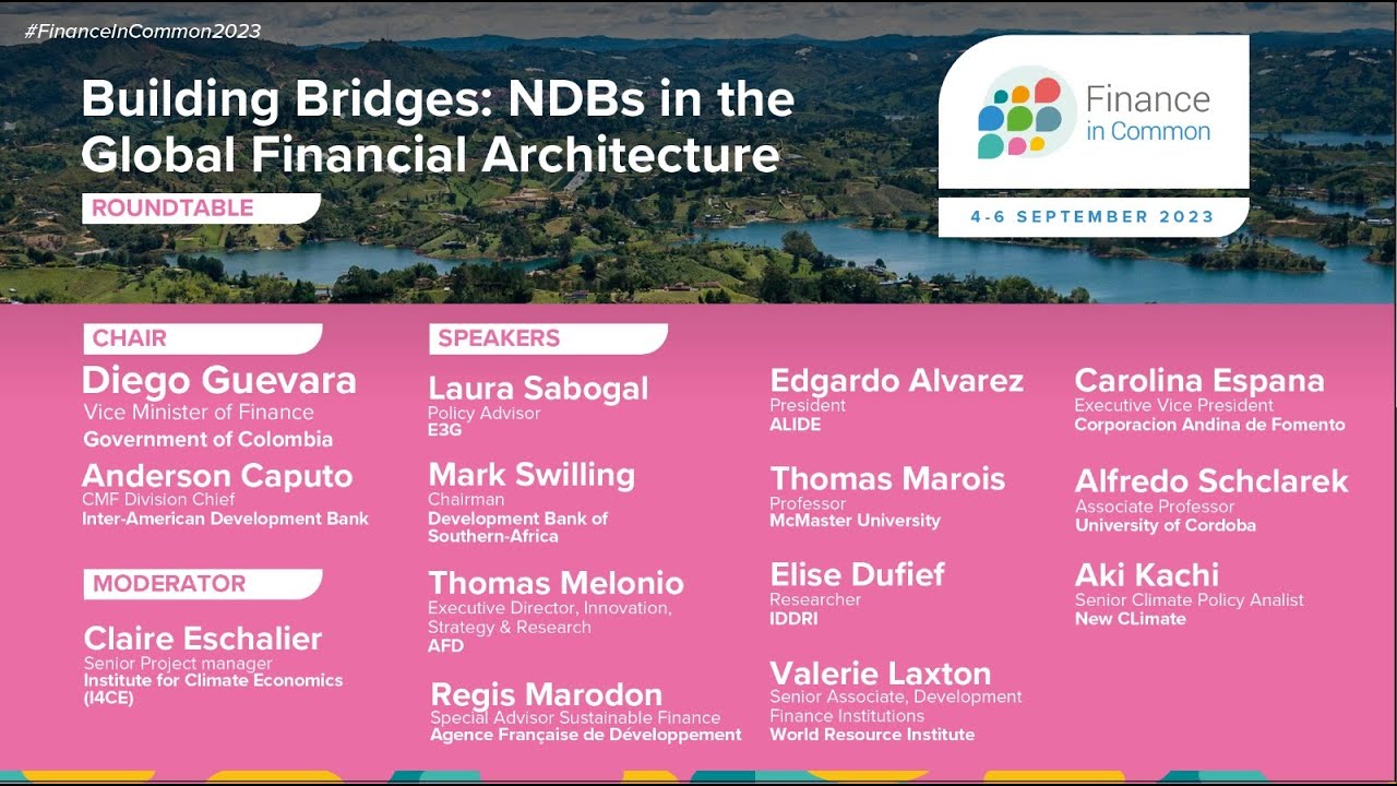 Building Bridges: National Developpement Banks in the Global Financial ...