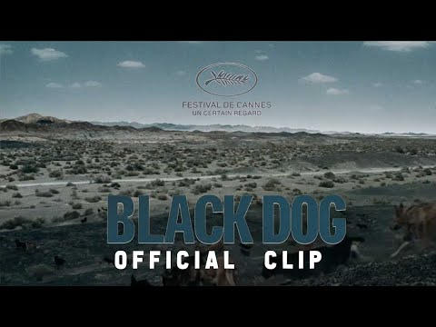 BLACK DOG (Guan Hu) First Look Clip - New Cannes 2024 Movie