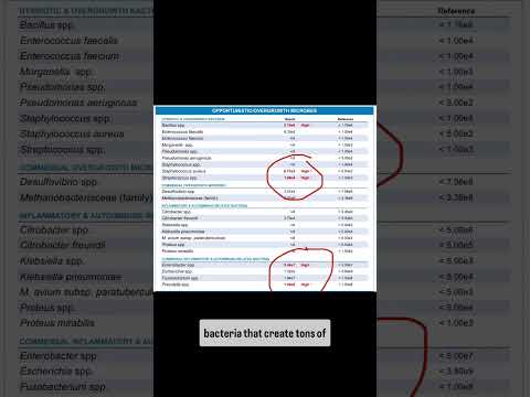 A 4 year old Boy's Functional Medicine Lab Test Result