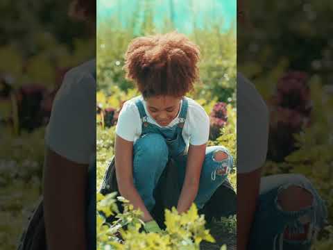 The Vital Role of Sunlight in Plant Photosynthesis | SGK English