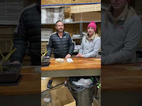 John and Leslie Curran with CZ Grain