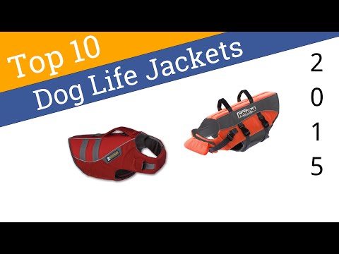 10 Best Dog Life Jackets 2015