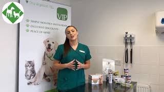 3 Best Vets in London, UK - ThreeBestRated