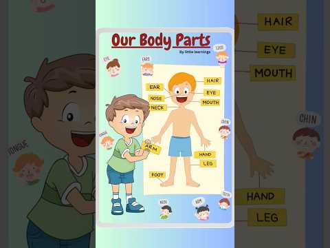Body parts | worksheets #science