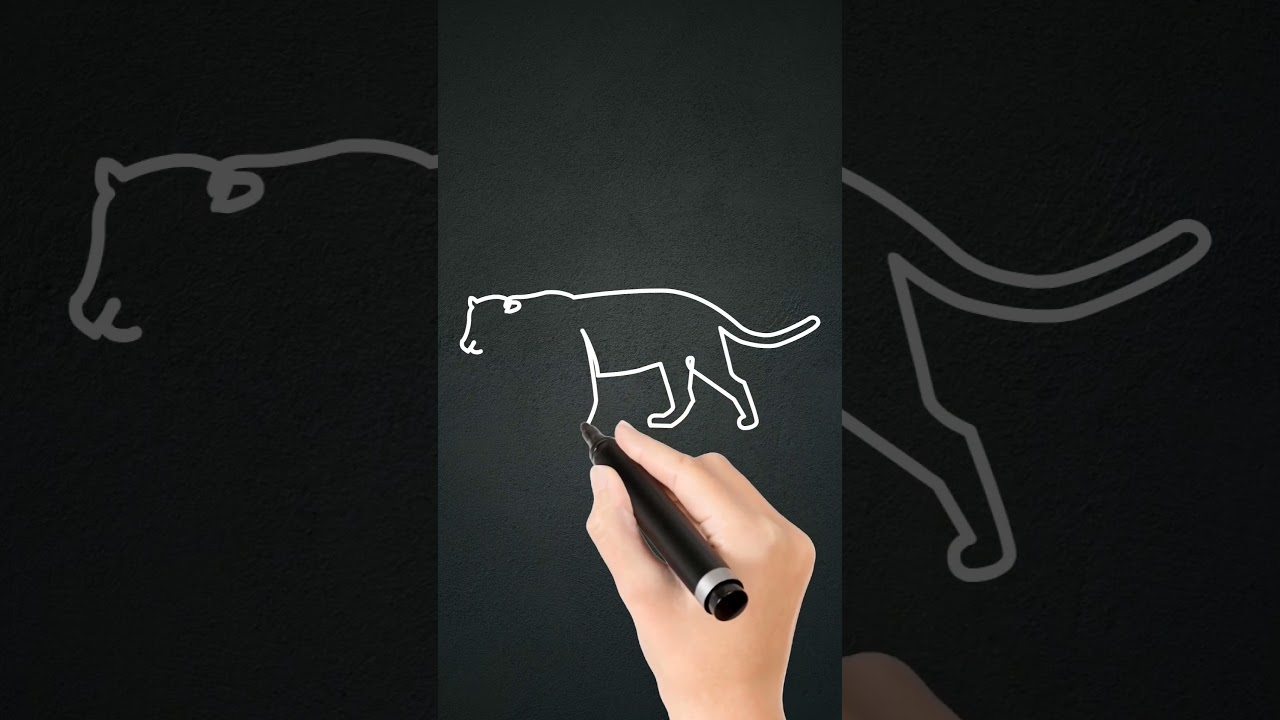 #tiger #tigerart Continuous one line drawing - Tiger walking Single Line Draw @singlelinedraw