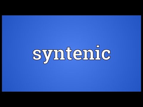 Syntenic Meaning