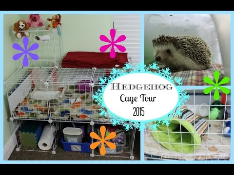 C&C Hedgehog Cage Tour | Jan 2015