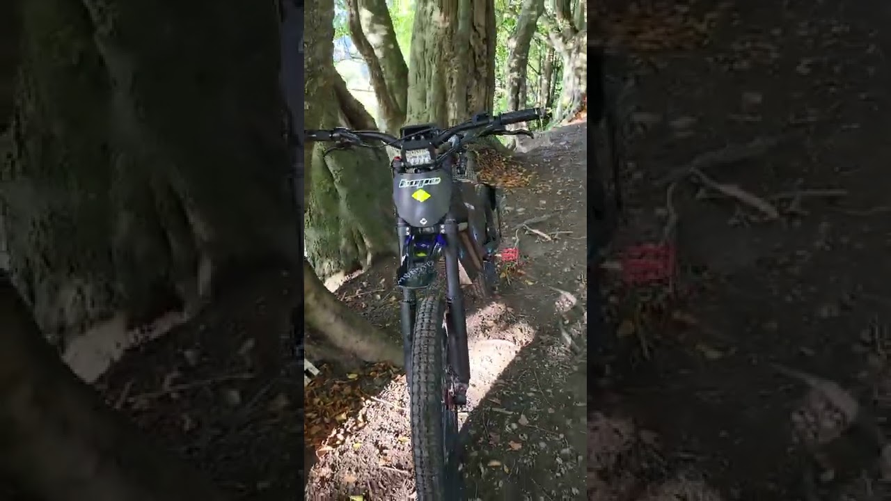 vector typhoon walk around