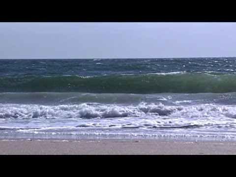 The Basics of Water Quality