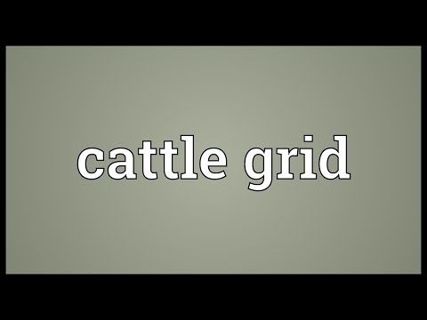 Cattle grid Meaning